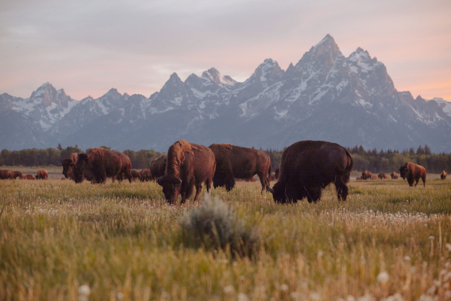 10 Reasons Why a Jackson Hole Destination Wedding is the Perfect Location