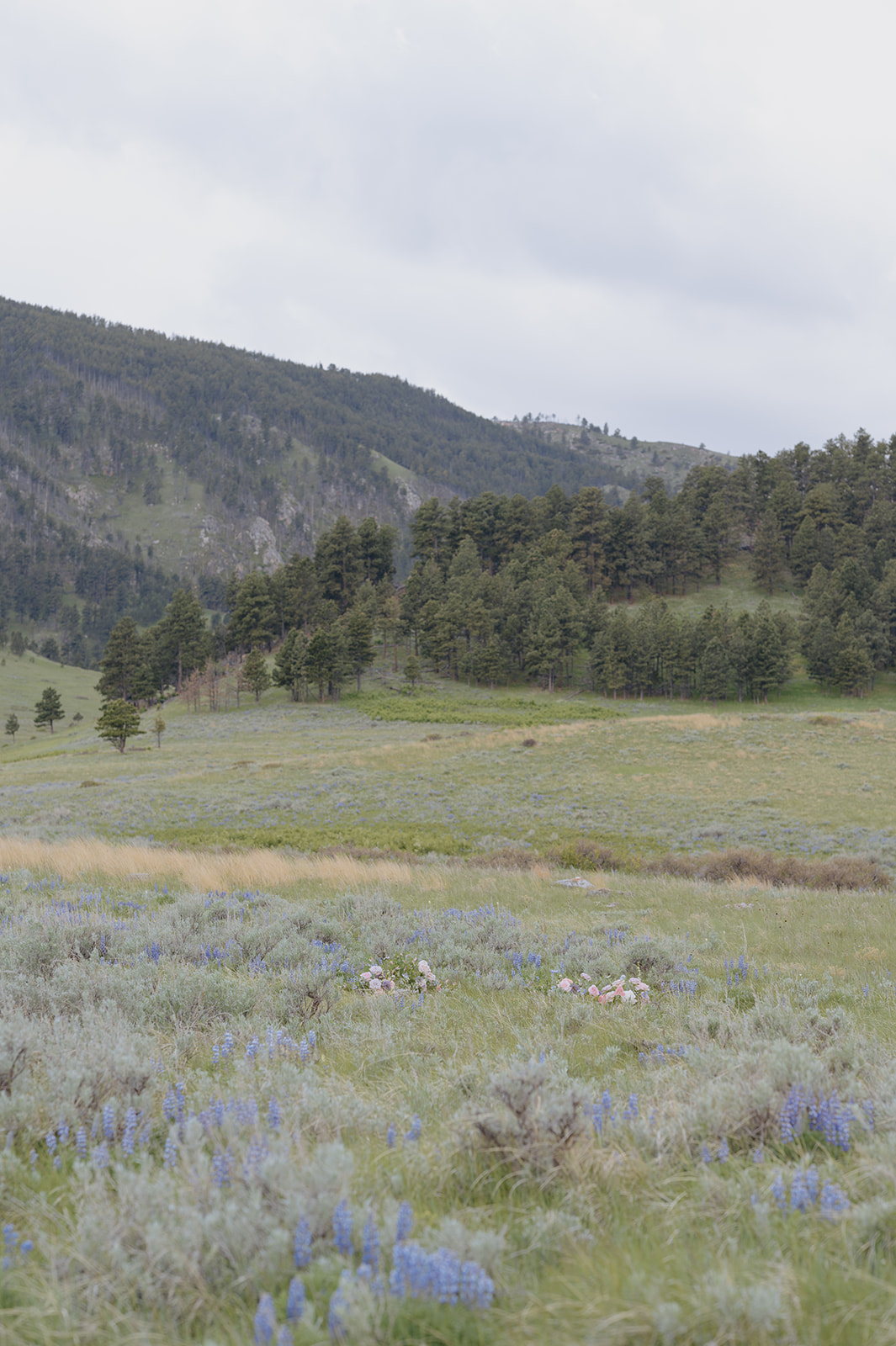 Wyoming Elopement in the Big Horn Mountains | Foxtails Photography