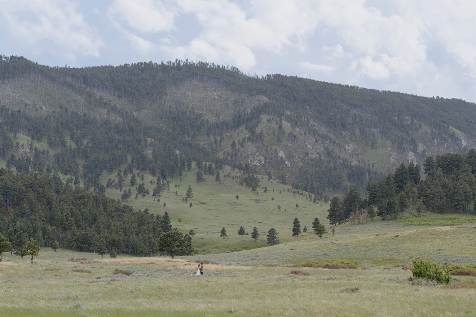 Wyoming Elopement in the Big Horn Mountains | Foxtails Photography